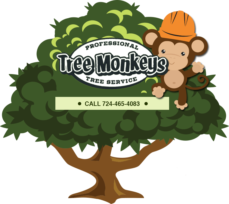 Tree Service Clip Art